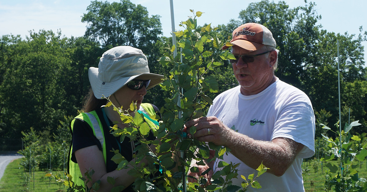 It Takes a Village: Tree Care at the Farm - Casey Trees