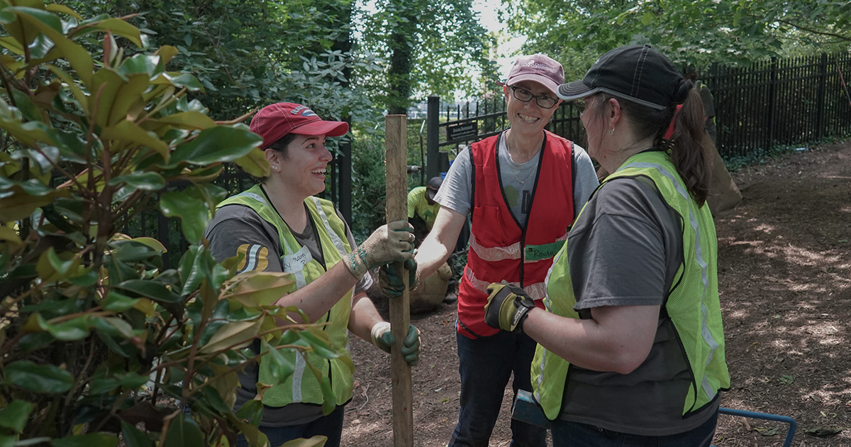 Dedicated Volunteers: We Need You as Team Leaders! - Casey Trees