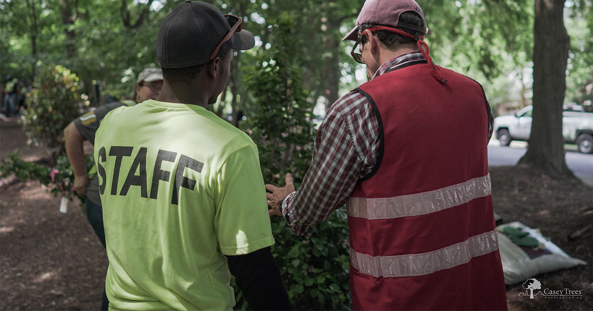 Meet the Tree Planting Team - Casey Trees