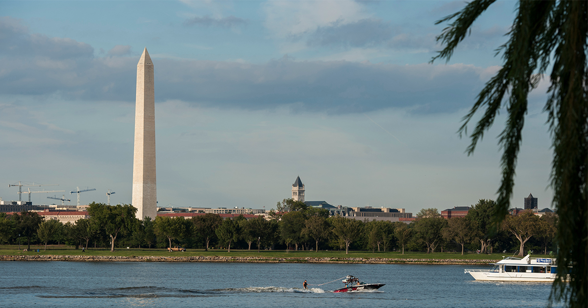 What are DC’s Trees Worth? - Casey Trees