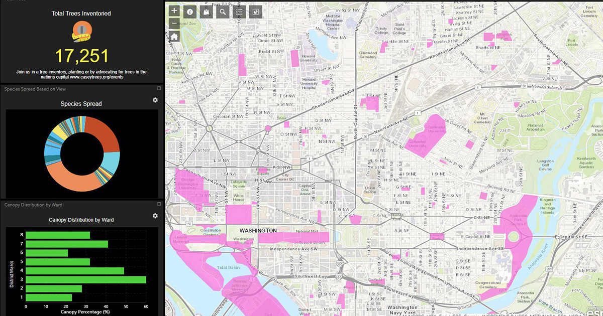 This Map Shows Every Tree We’ve Measured and Identified in D.C. - Casey ...