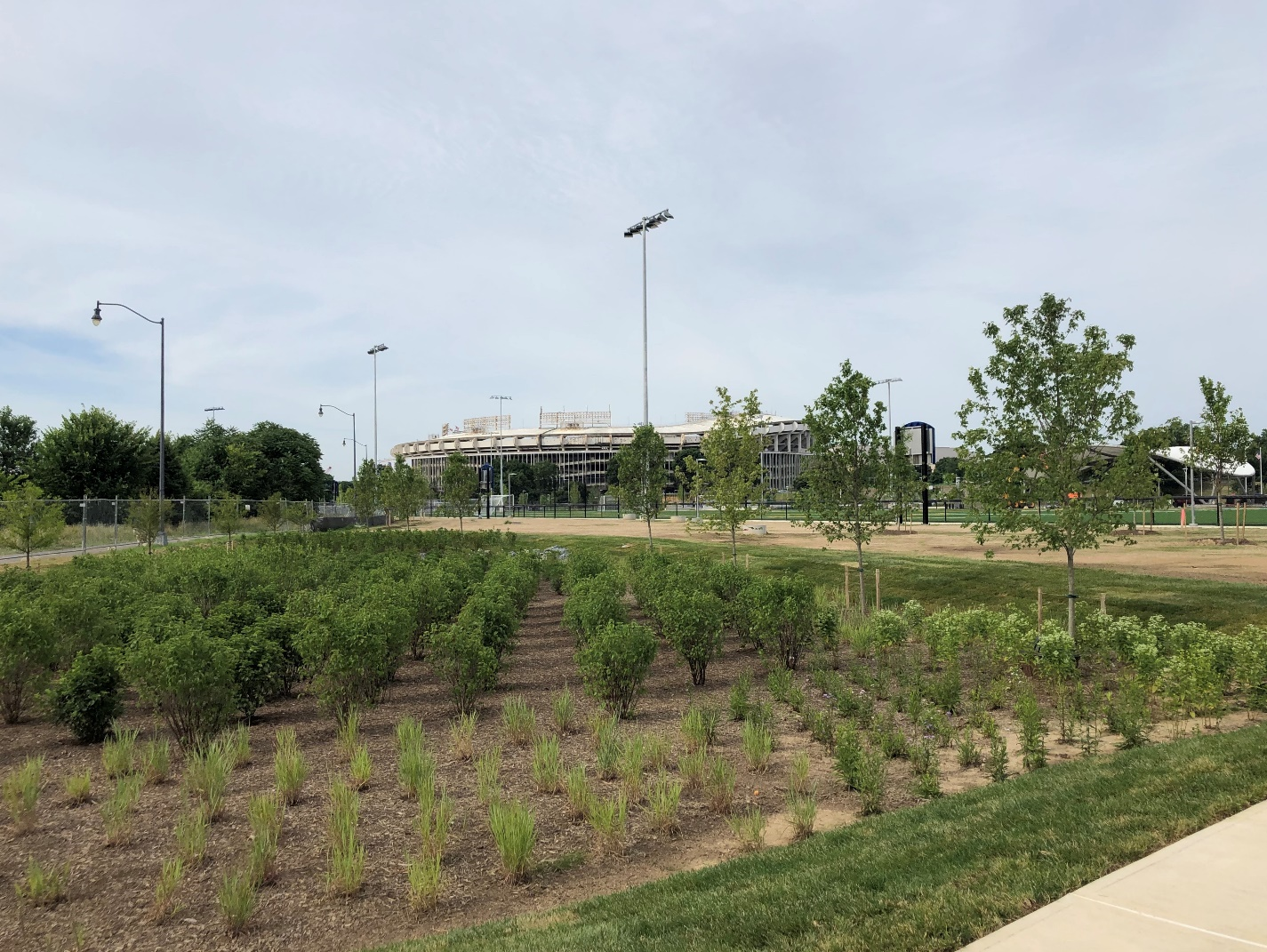Advocacy Win: Introducing the Fields at RFK Campus - Casey Trees