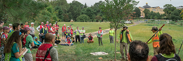 Award Winning Trees, Thanks to a (literally) Fruitful Partnership with ...