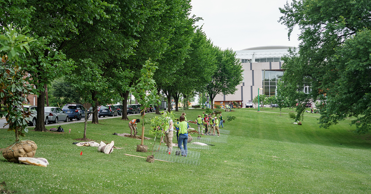 Parks are Back Open, Revisit their History and Trees with Our Storymaps ...