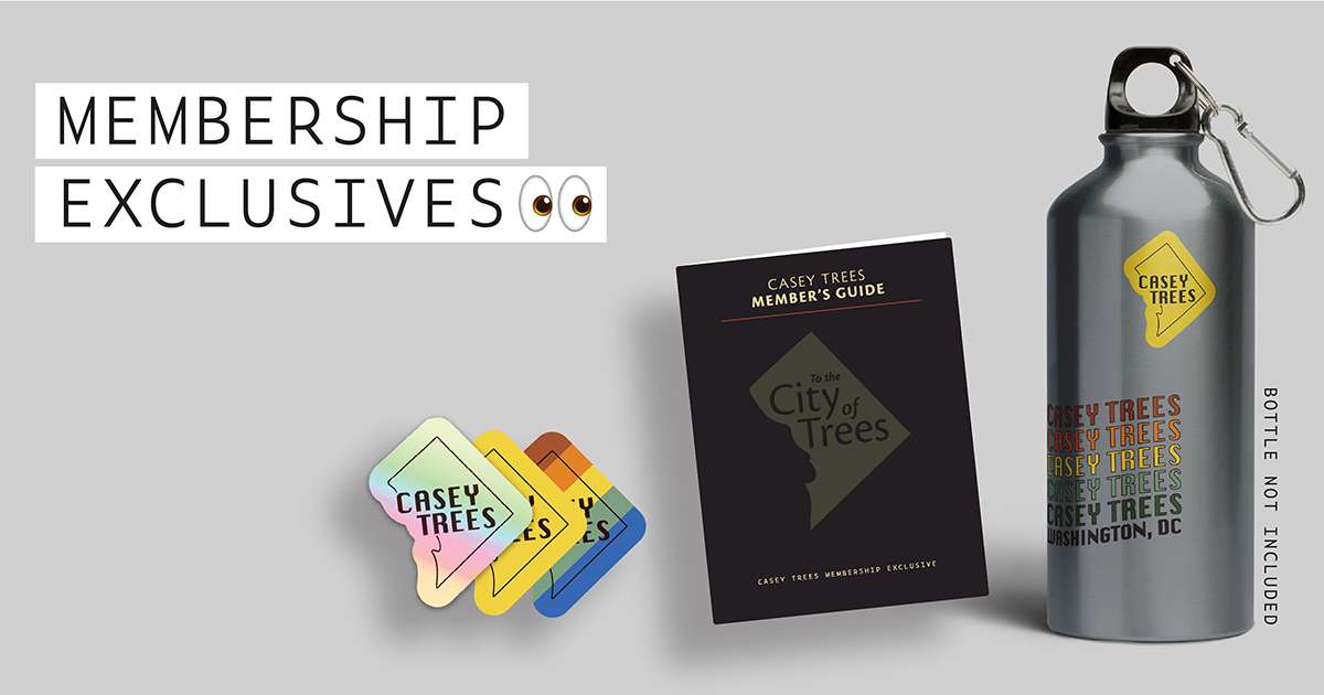 Casey Trees Membership - Casey Trees