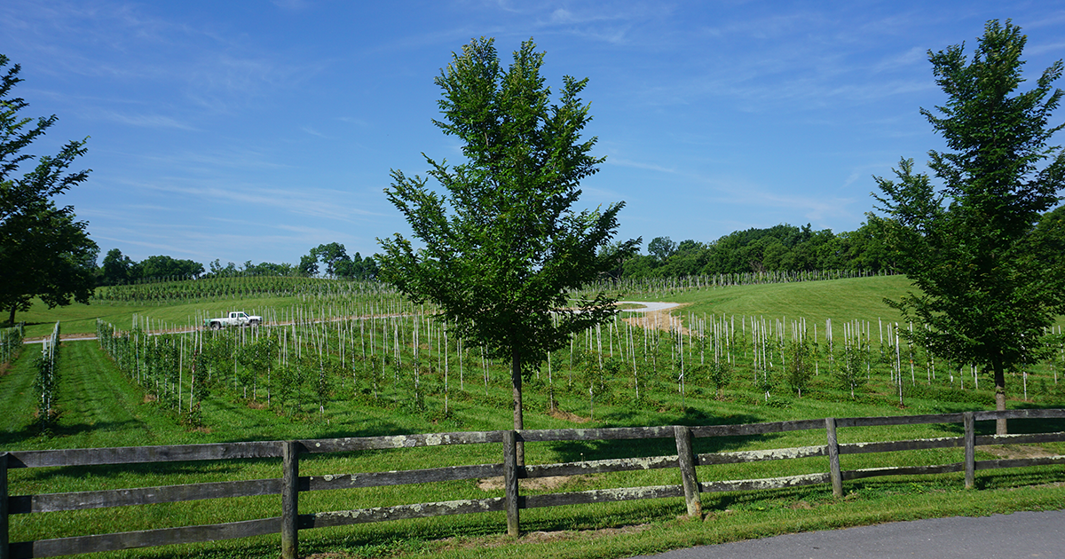 Hiring at Our Farm in Virginia - Casey Trees