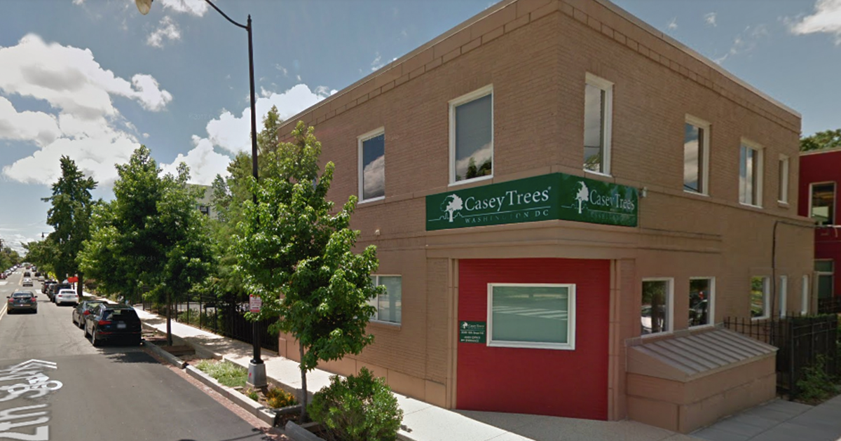 Casey Trees Headquarters Street Tree Tour - Casey Trees