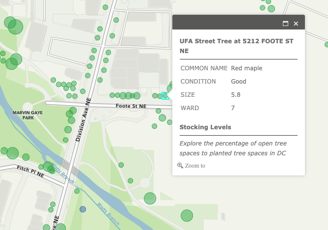 The Street Trees of Iconic DC Spots - Casey Trees