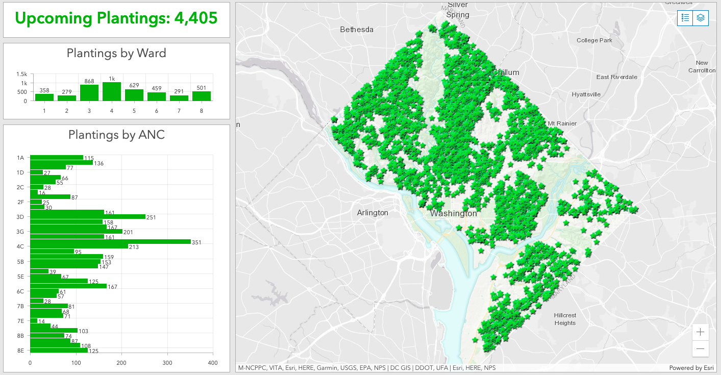 DC’s Urban Forestry Division by the Numbers - Casey Trees