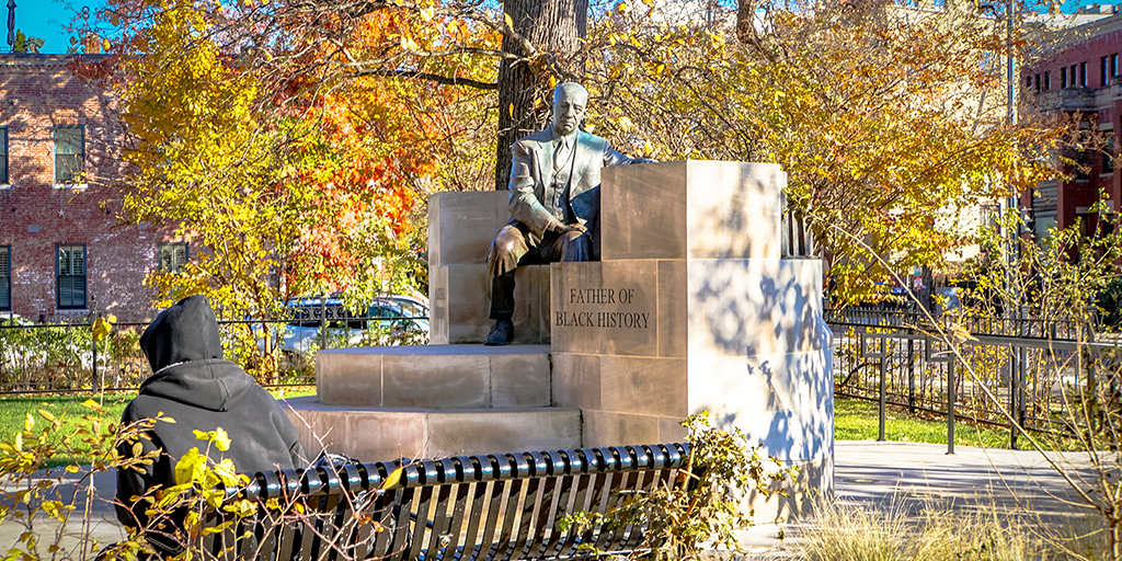 The Trees of Places Linked to Black History Around Town - Casey Trees