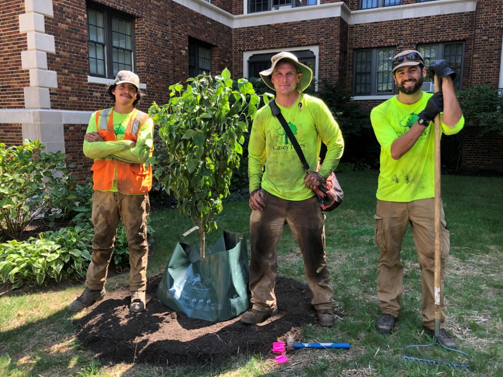 A Birthday Ode to our Tree Operations Team - Casey Trees