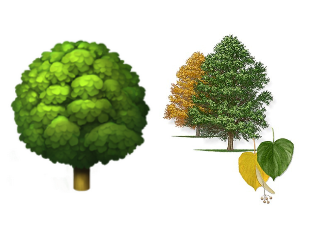 World Emoji Day - Casey Trees
