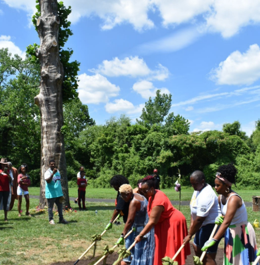 Witness Trees that are Living History - Casey Trees