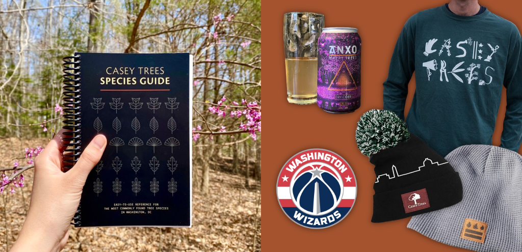 Holiday Gifts for Tree Lovers - Casey Trees