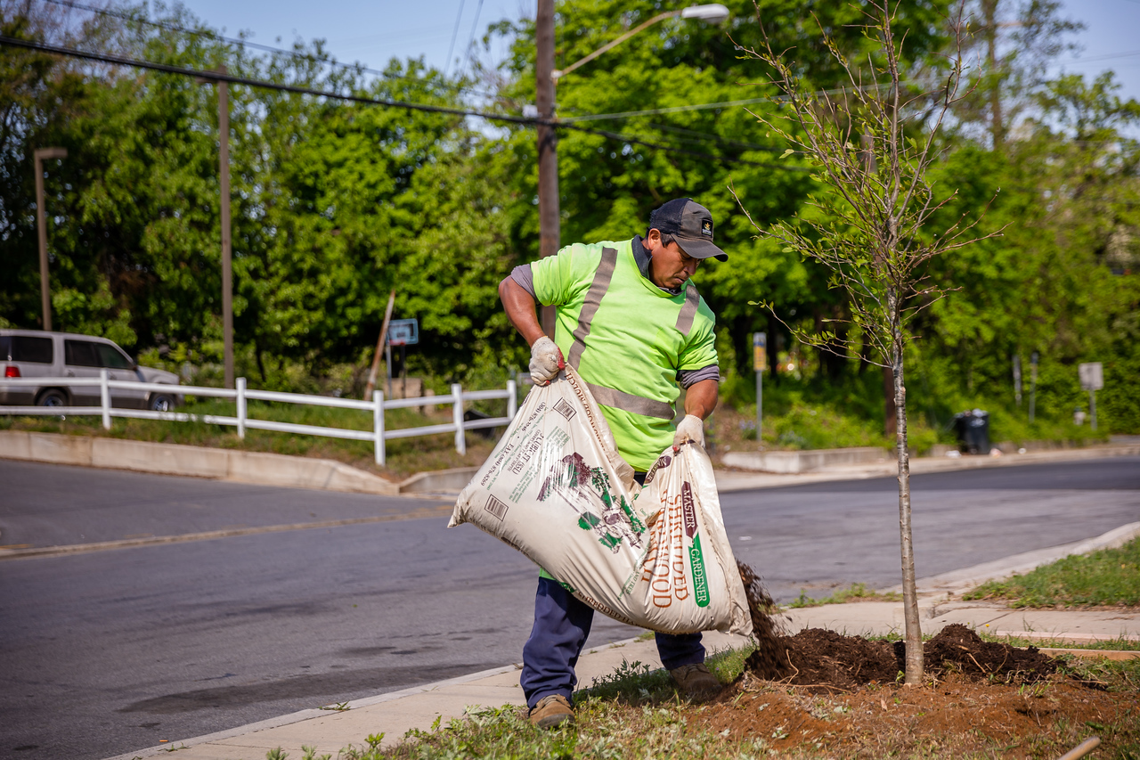 Celebrating Our Friends in Prince George’s County! - Casey Trees