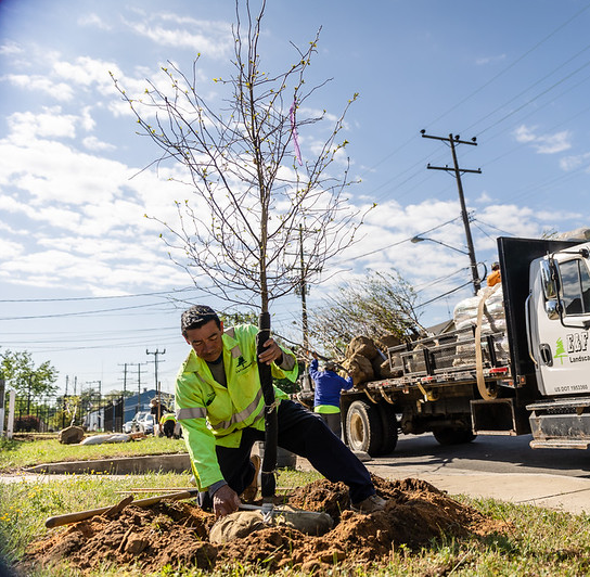 Celebrating Our Friends in Prince George’s County! - Casey Trees
