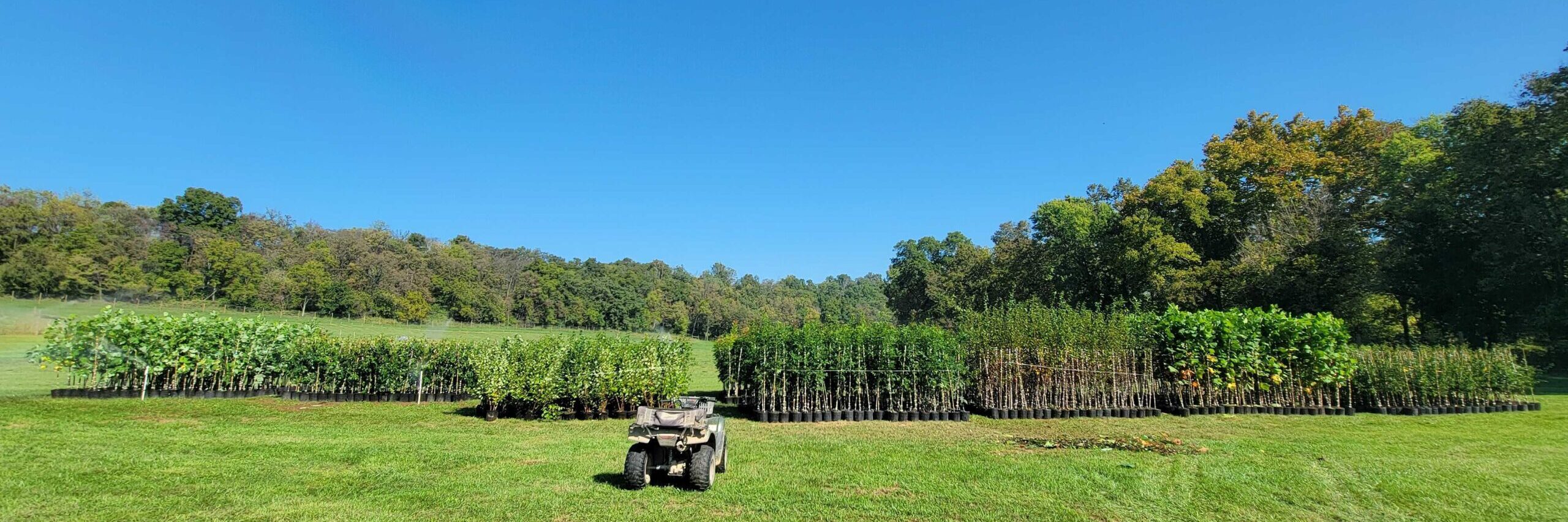 Another Busy Season at our Farm - Casey Trees