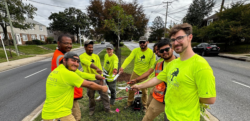 Fall is for Planting! - Casey Trees