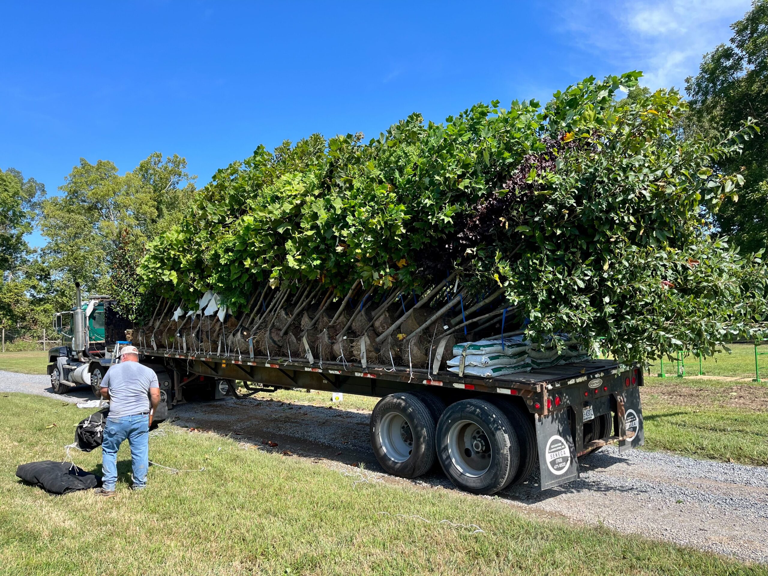 Another Busy Season at our Farm - Casey Trees