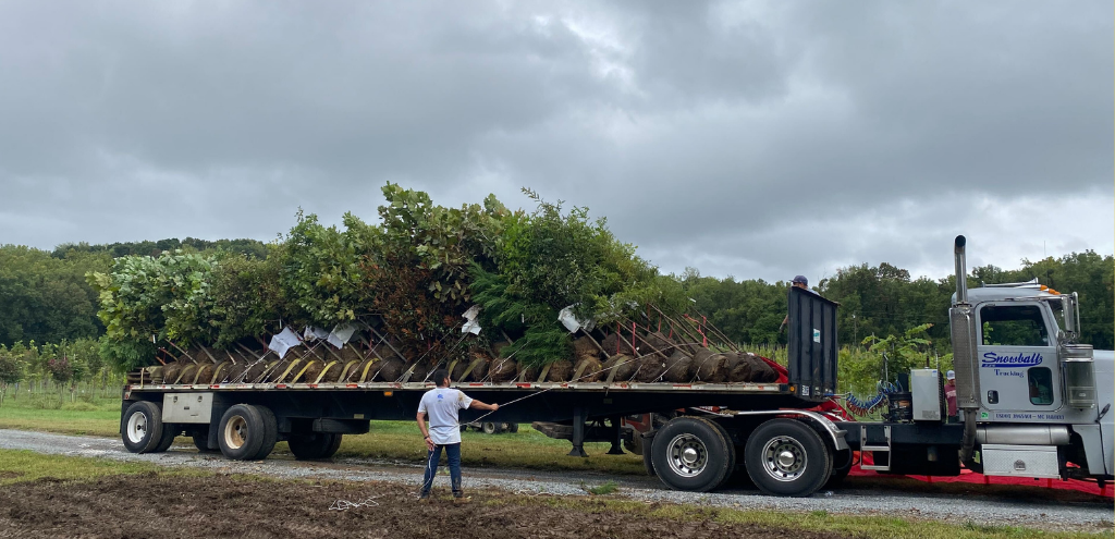 Another Busy Season at our Farm - Casey Trees