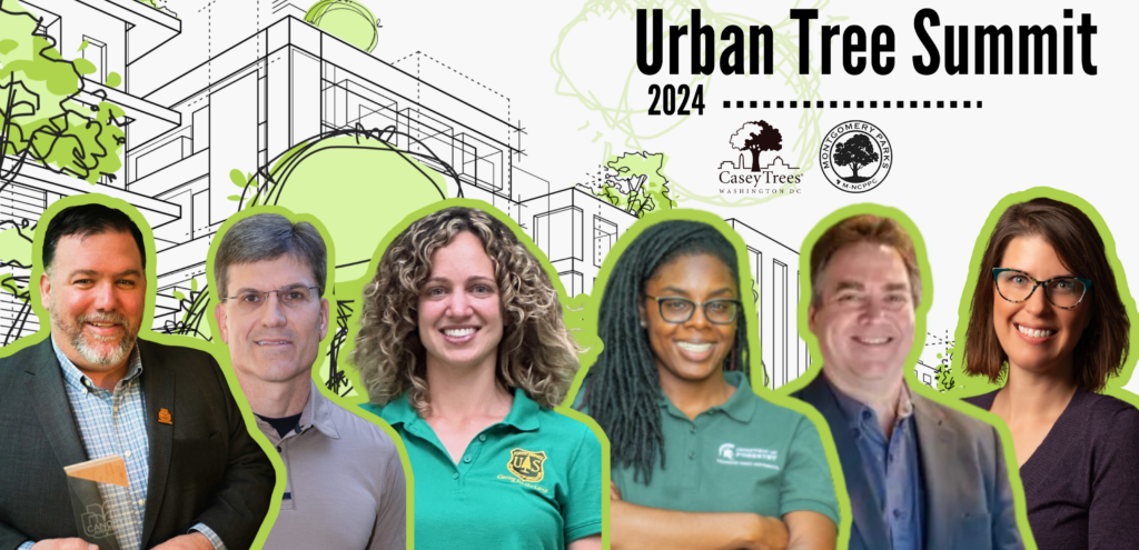 Countdown to the 2024 Urban Tree Summit - Casey Trees