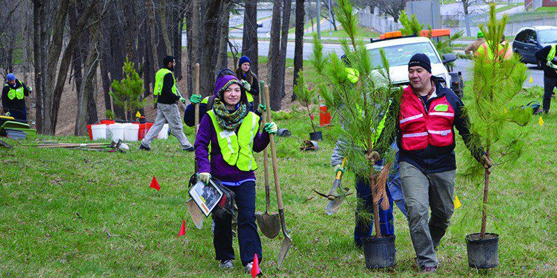 Fall Registration Now Open! - Casey Trees