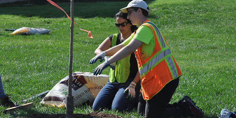 Gallaudet University Tree Planting Recap - Casey Trees