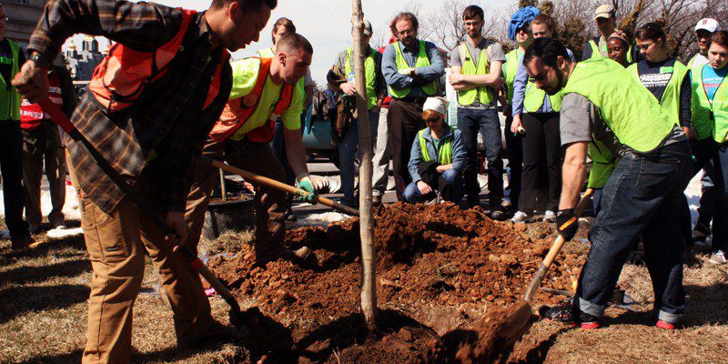 Tree Planting Workshop: Sign up now - Casey Trees