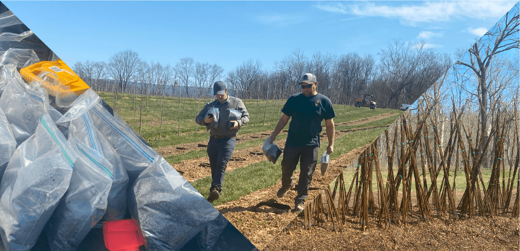 Meet the Honorees: Bartlett Tree Research Laboratories - Casey Trees