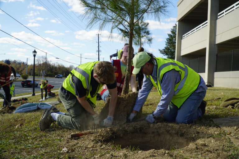 Building a Sustainable Transit Future with WMATA - Casey Trees