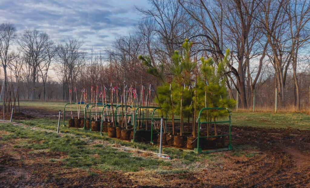 Growing the Future at Casey Tree Farm - Casey Trees