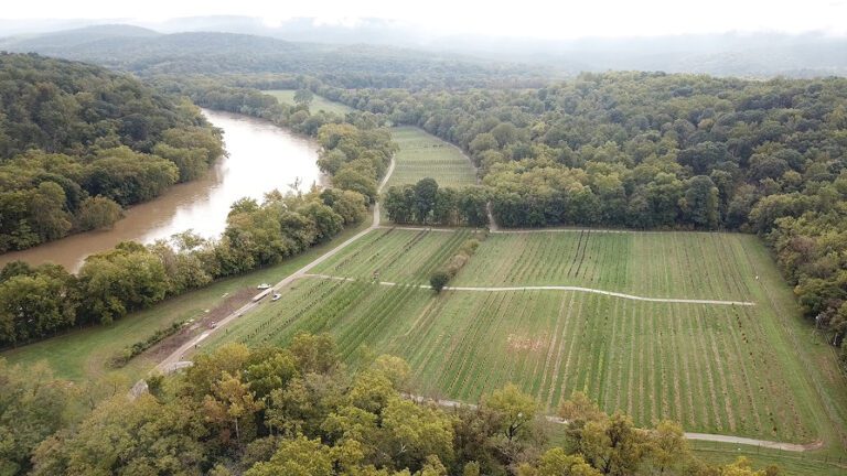 The Casey Tree Farm - Casey Trees