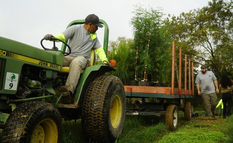The Casey Tree Farm - Casey Trees
