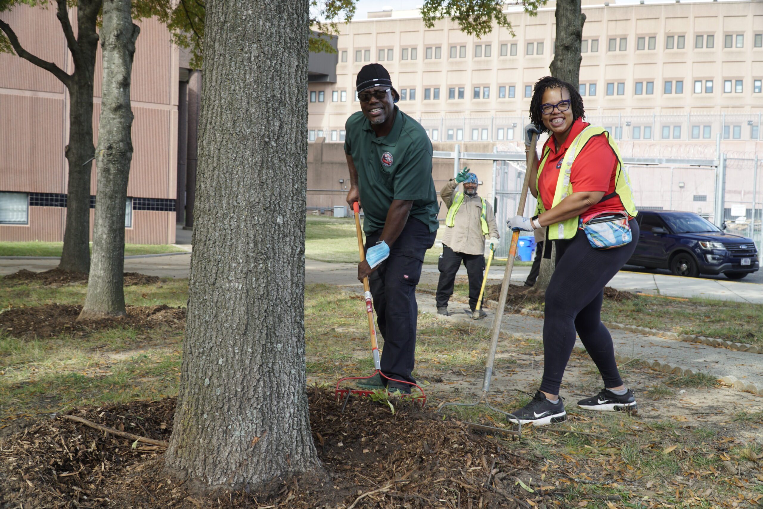 Tree Giveaway - Casey Trees