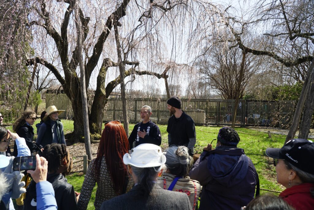 Celebrating Cherry Blossoms: A Fusion of Culture & Conservation - Casey ...