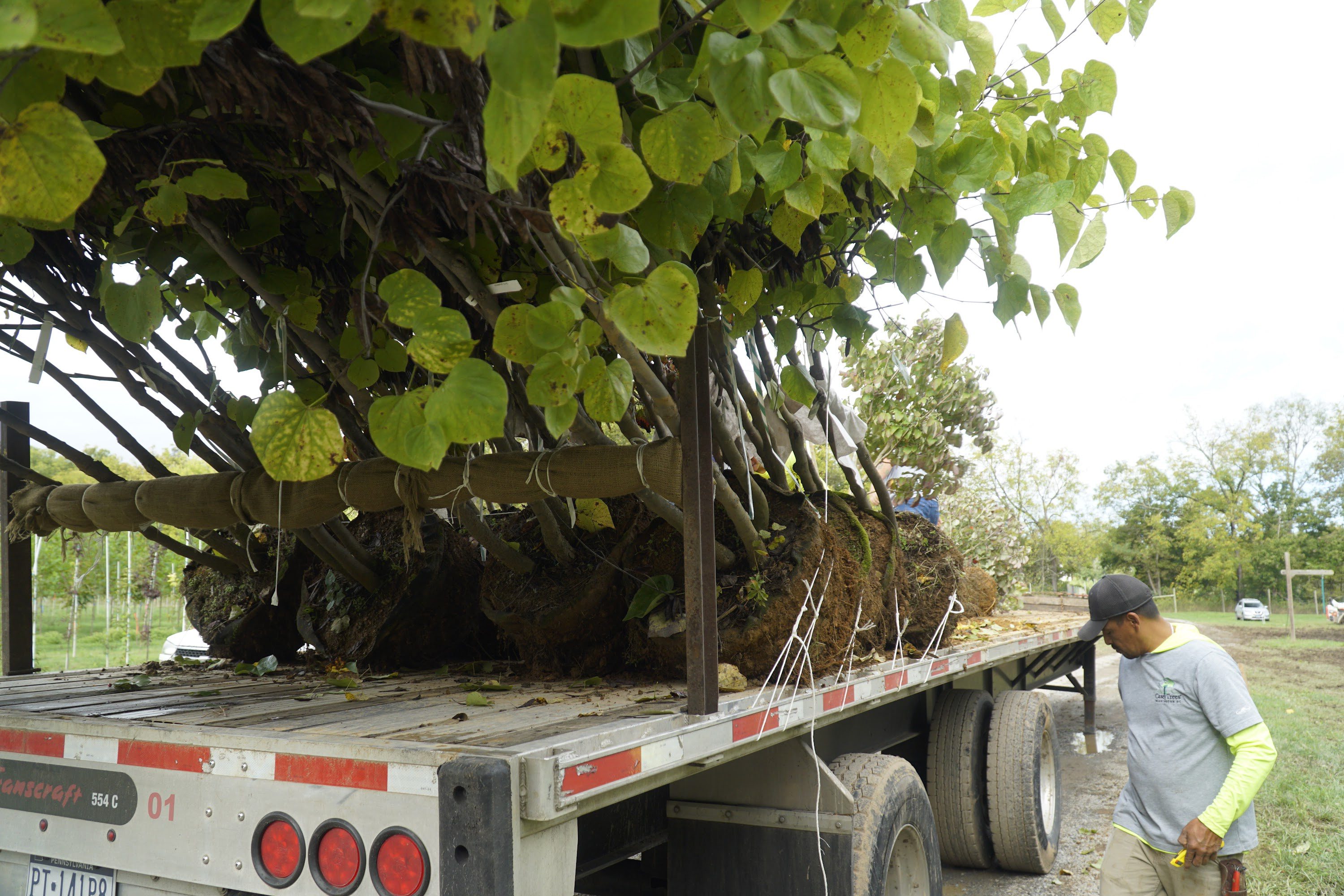 Growing the Future at Casey Tree Farm - Casey Trees