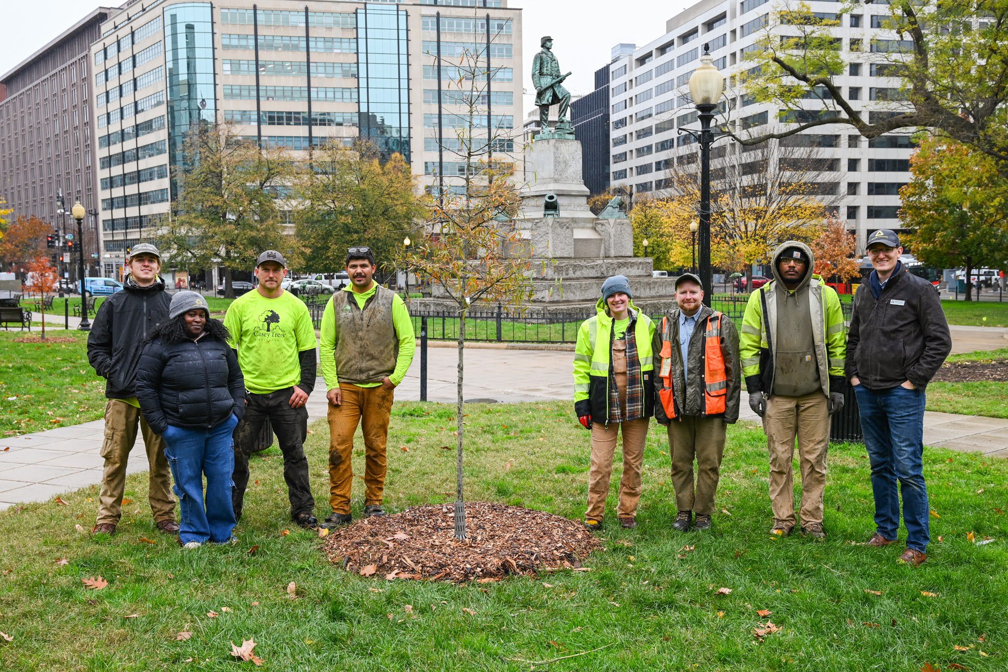 Reviving Farragut Square – A Legacy of Trees Returns - Casey Trees