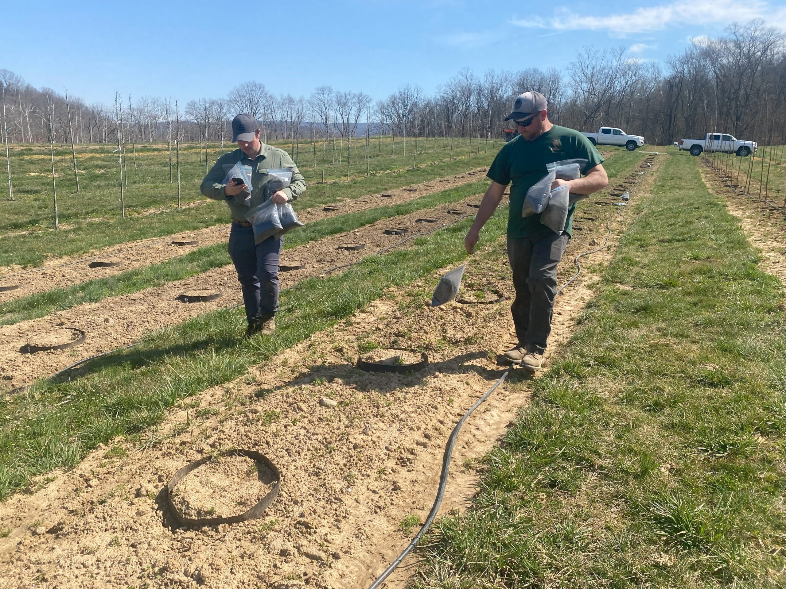 Meet the Honorees: Bartlett Tree Research Laboratories - Casey Trees
