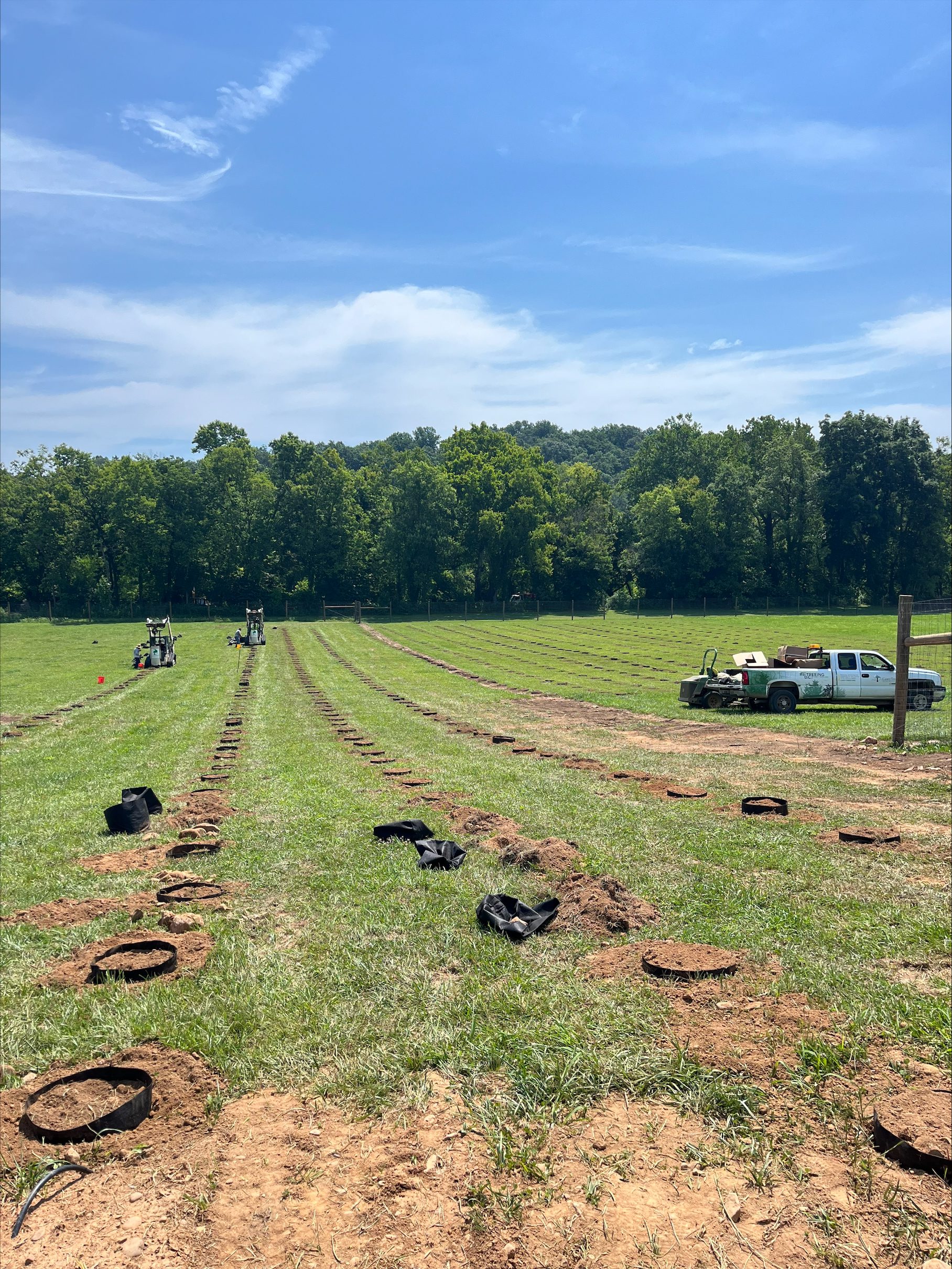 Summertime Farm Updates - Casey Trees