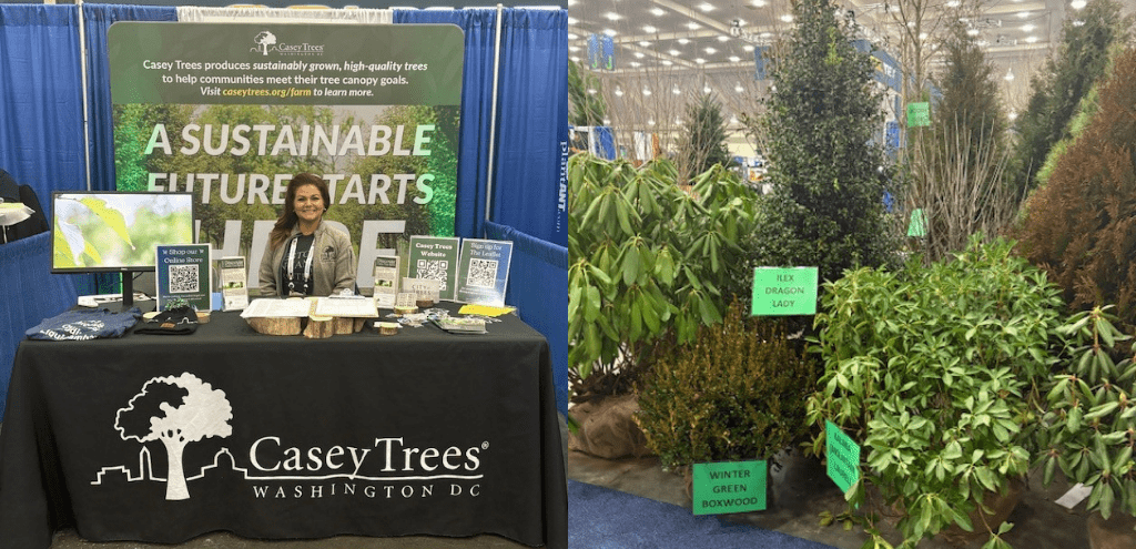 Looking Back at MANTS 2025 - Casey Trees