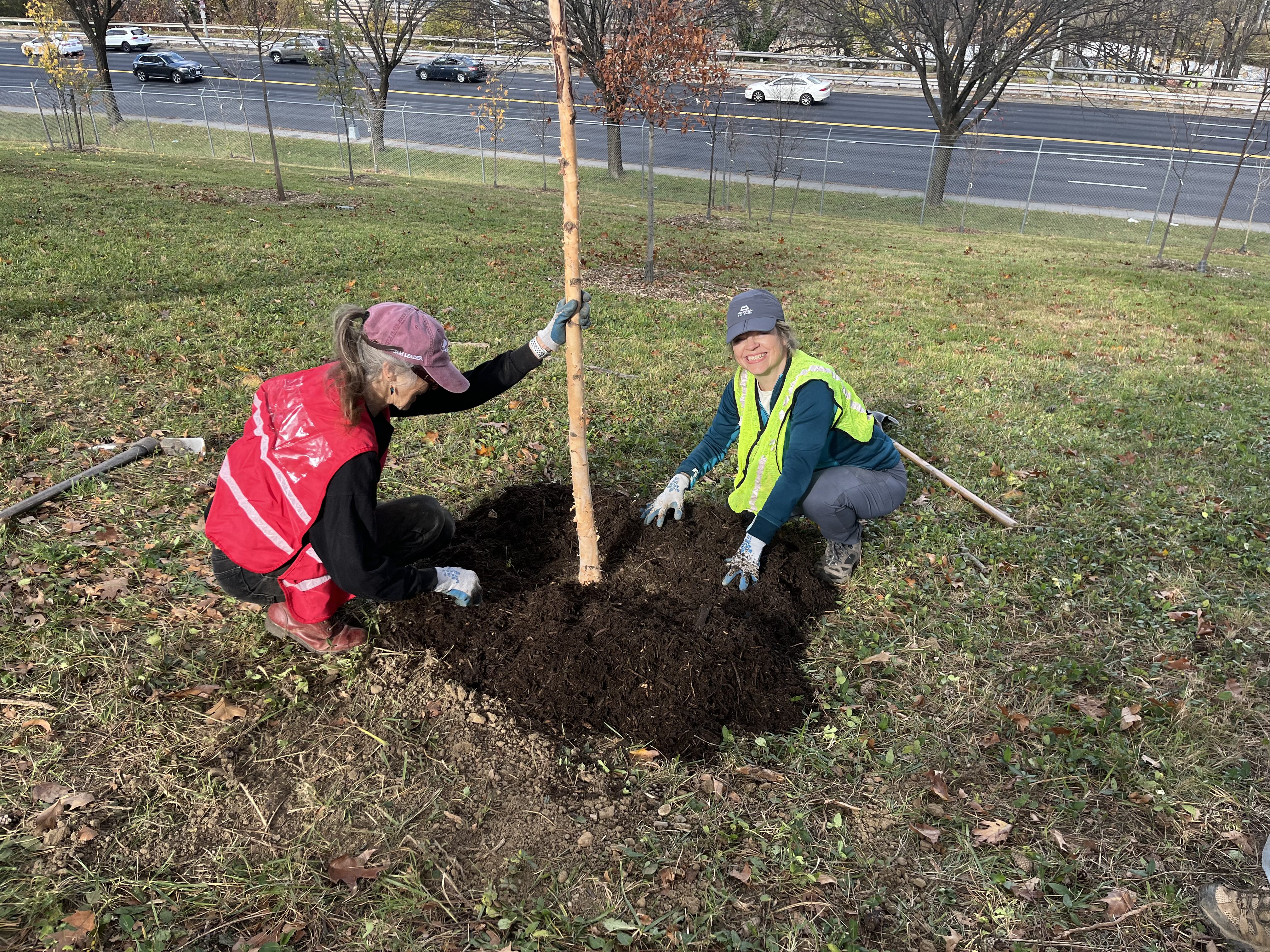 Late Fall Events are Here! - Casey Trees