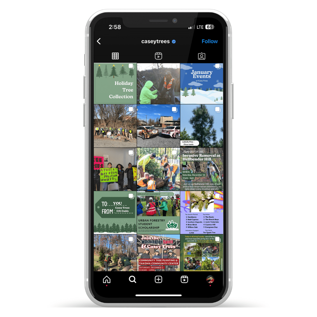 Resolutions That Take Root - Casey Trees