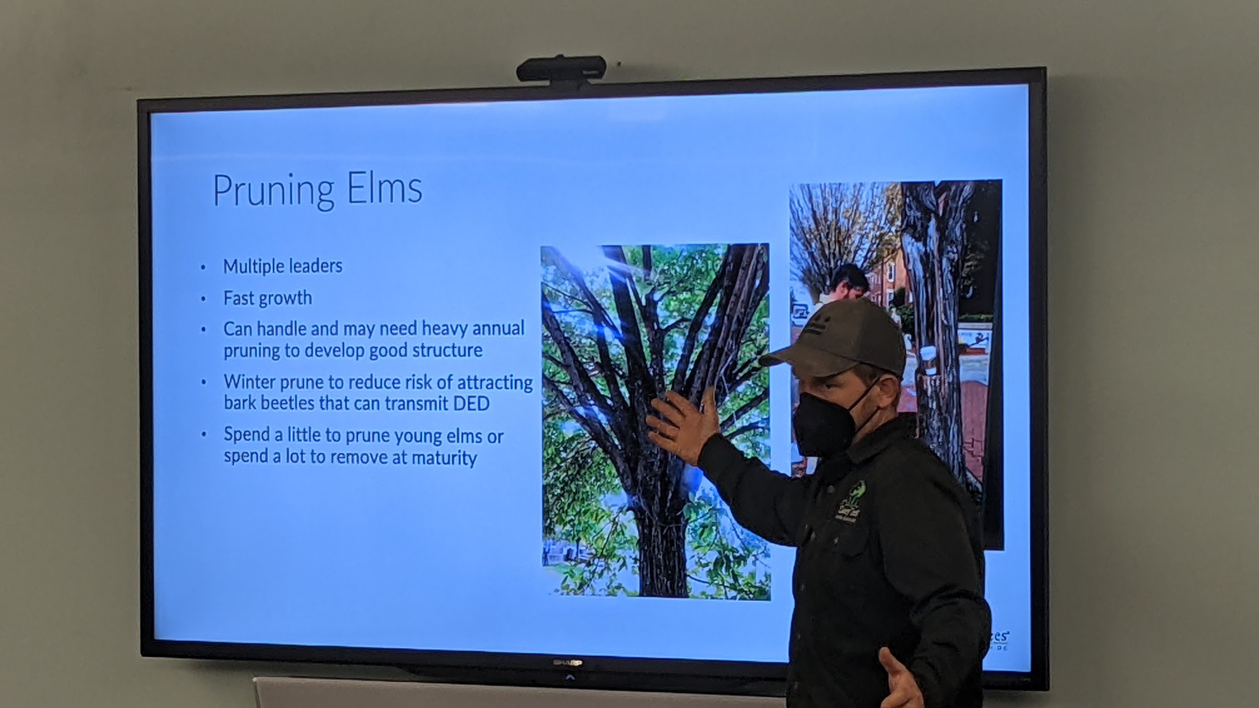 Partnering for Pruning - Casey Trees