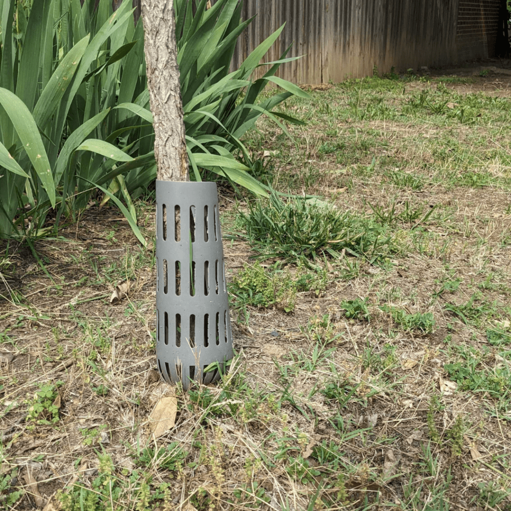 Mulching Do’s and Don’ts - Casey Trees