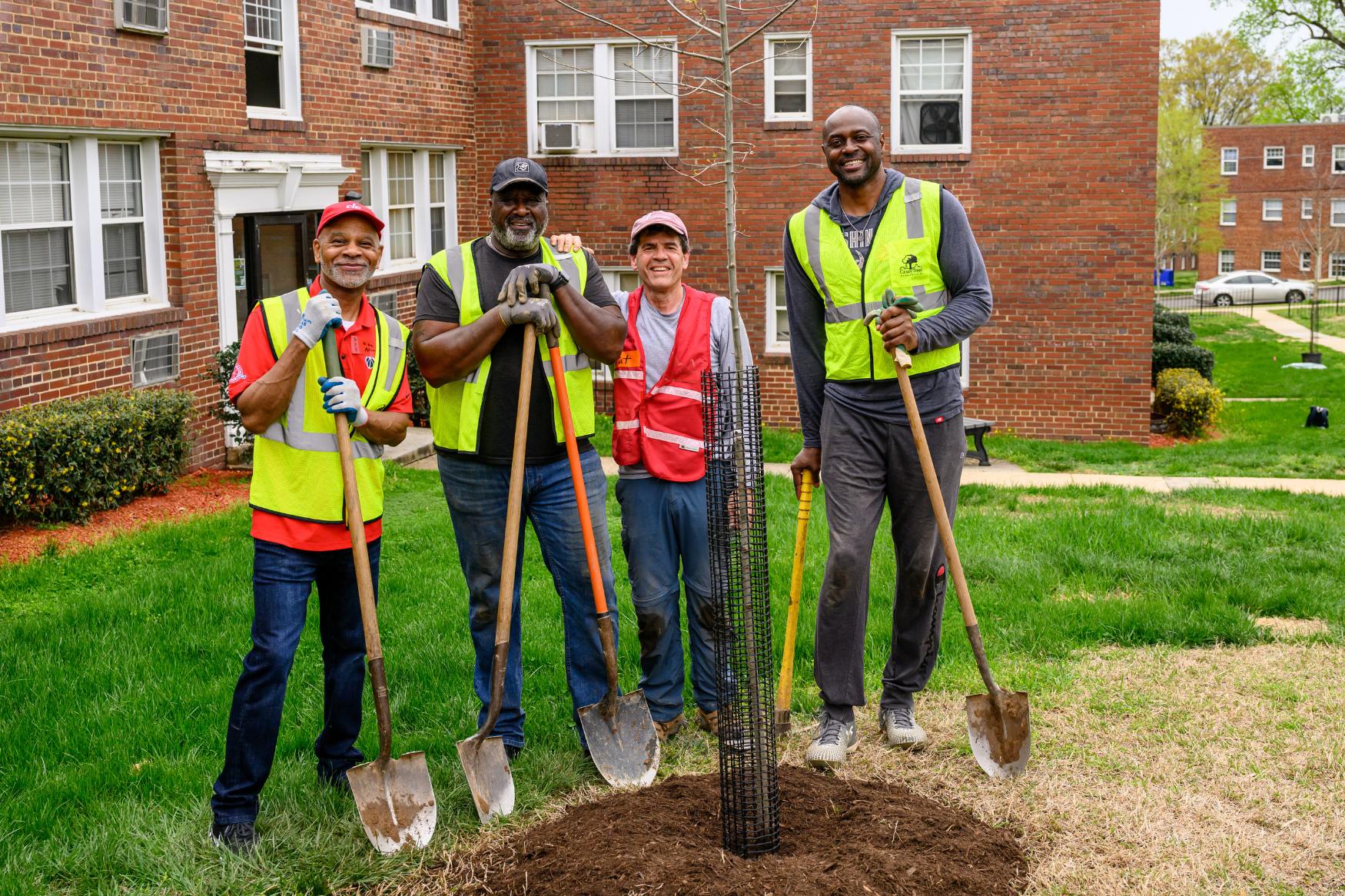 Tree is Life: Our Planting with The Wizards - Casey Trees