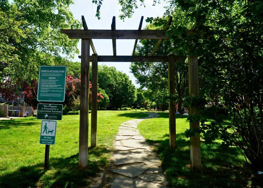 DC's 2024 Tree Report Card is Here - Casey Trees