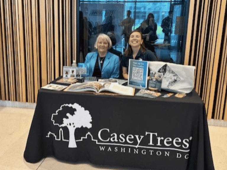 Highlights from DC Climate Week 2025 - Casey Trees