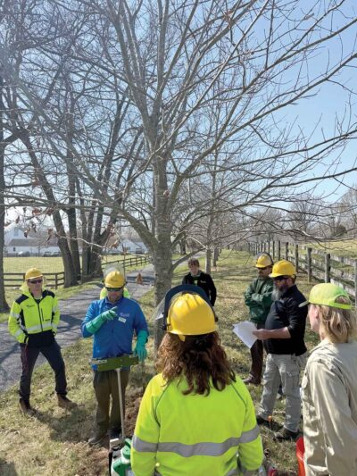 Casey Trees and Bartlett Tree Experts, A Crowning Partnership Made in ...