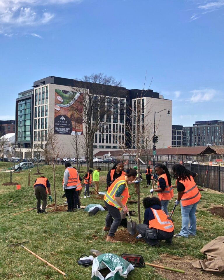 "Best Day of My Life": Highlights From School Tree Planting Season ...