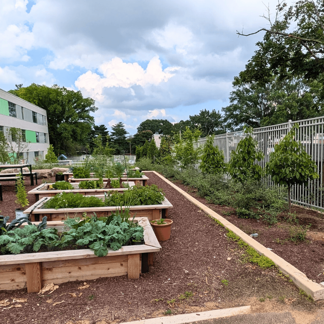 Cultivating Tomorrow's Environmental Champions Through Outdoor ...